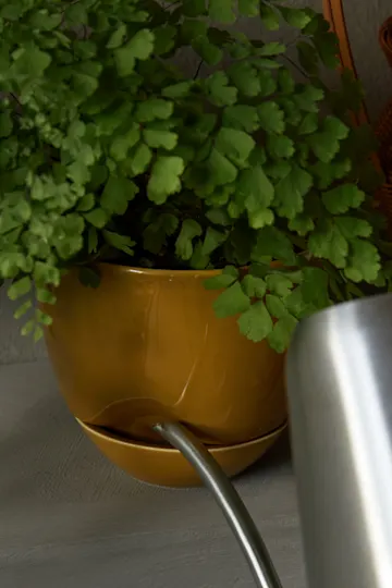 Skapa en fin trädgård & uteplats med rätt utomhuskrukor | Svenssons.se